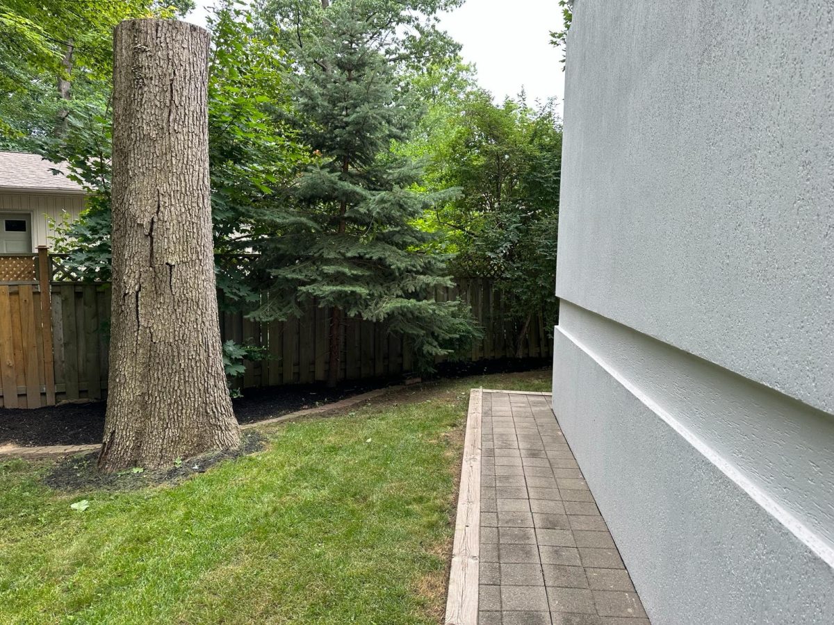 Hera Cleaning Services - Hera Services Inc