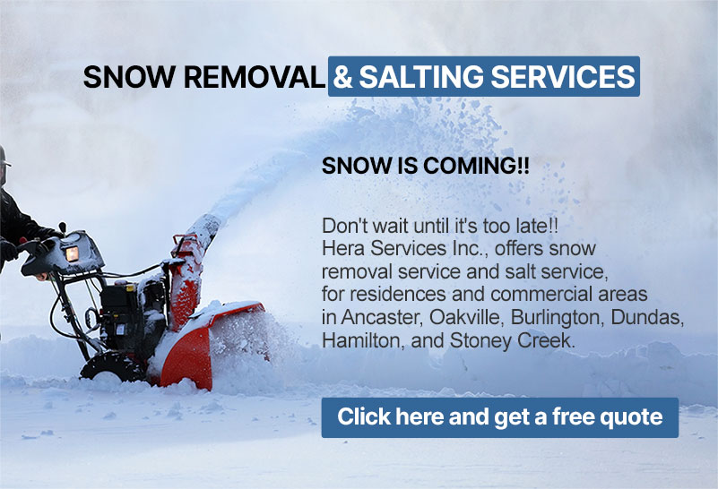 Hera Cleaning Services - Hera Services Inc